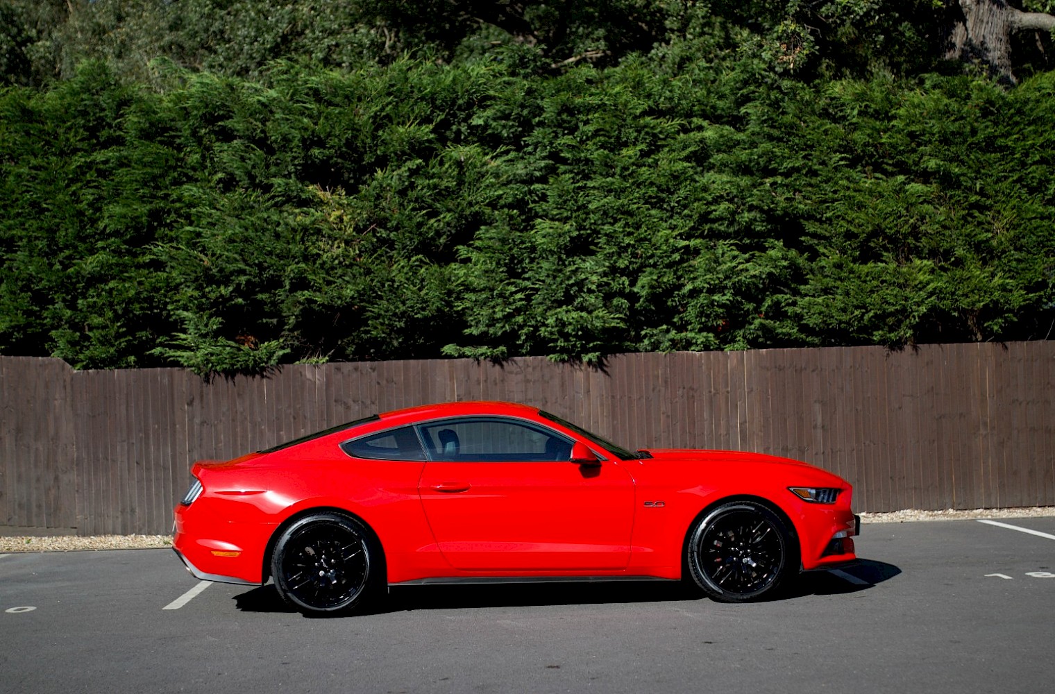 2016/16 Ford Mustang Fastback 5.0 | Cars | Monarch Enterprises